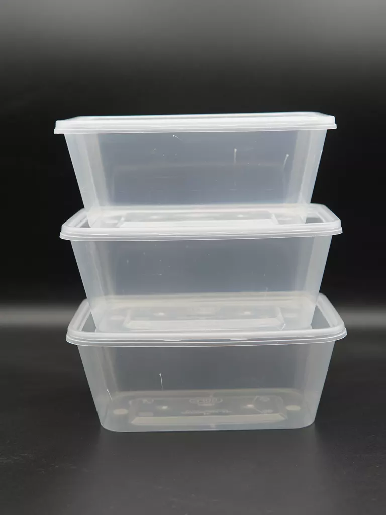 1000 ML Food Container CTN Packing – Gofy